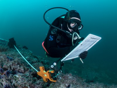 Reef Check's Role in the California Marine Life Protection Act and ...