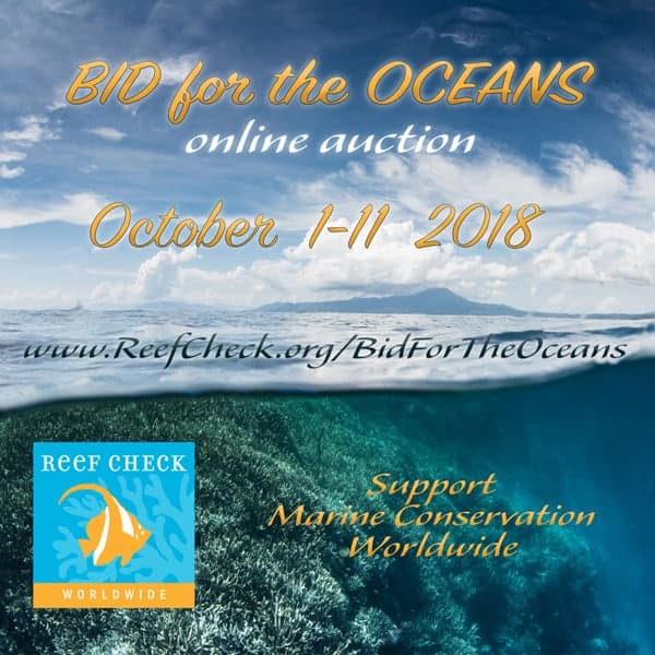 Reef Check's Bid for the Oceans Online Auction Gets Underway October 1 ...