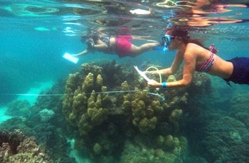 French Polynesian University Students Introduced to Reef Check - Reef Check