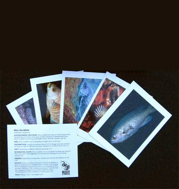 Reef Check California Species ID Cards - Reef Check