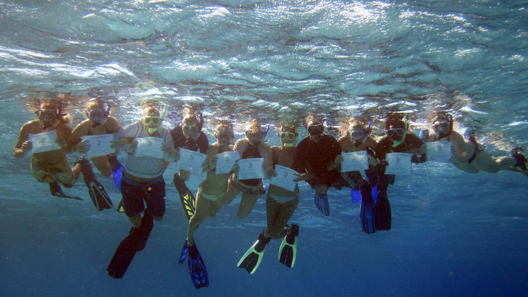 Tropical Monitoring Instruction | Reef Check Foundation