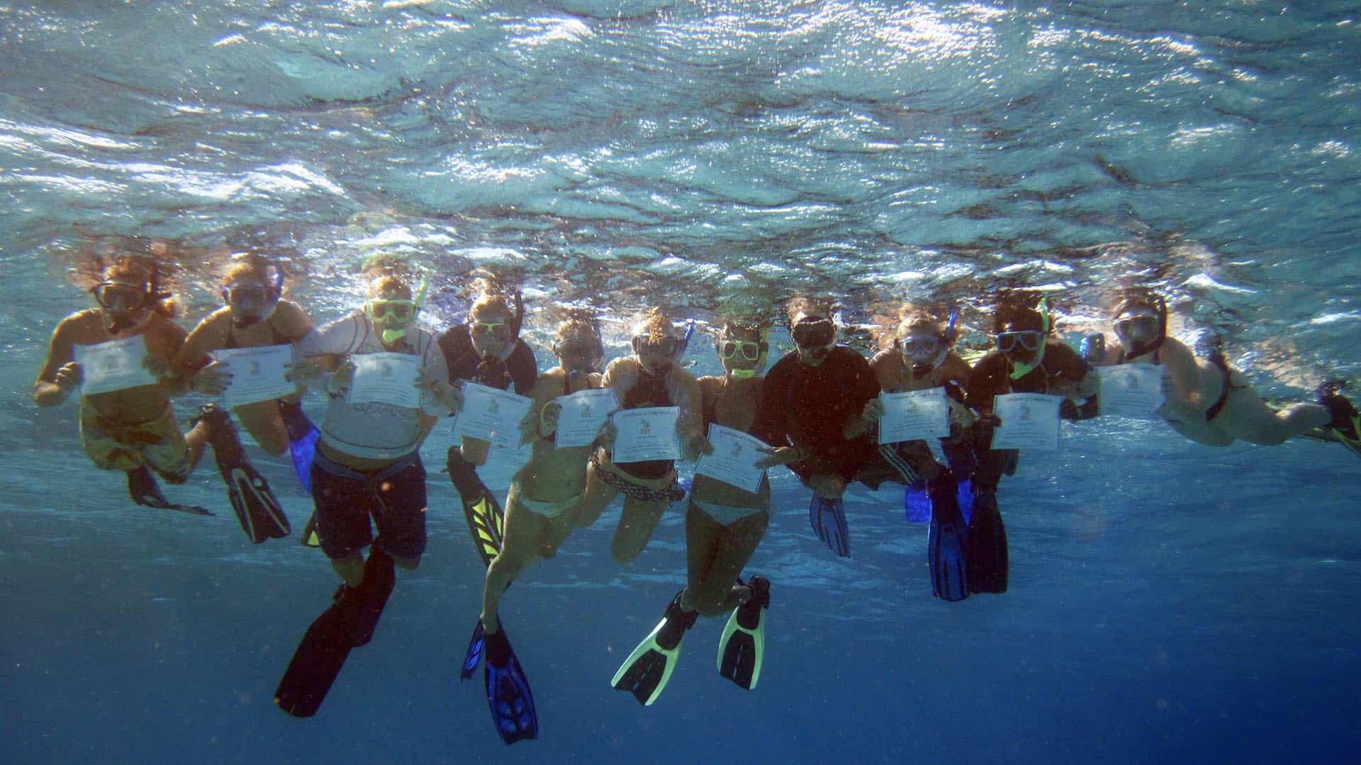 Tropical Monitoring Instruction | Reef Check Foundation