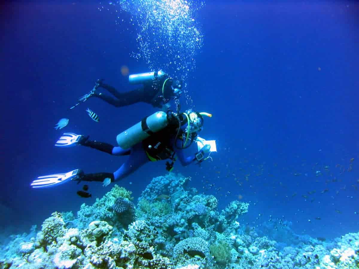 Courses & Products | Tropical Program | Reef Check