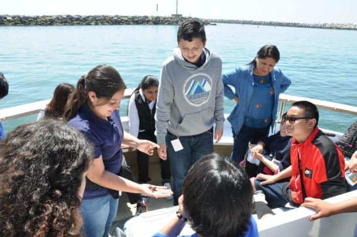 Reef Check Foundation | Supporting the World's Reefs