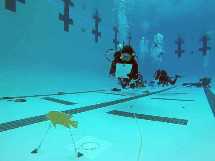Training Schedule - Reef Check