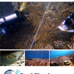 Reef Check Foundation | Supporting the World's Reefs