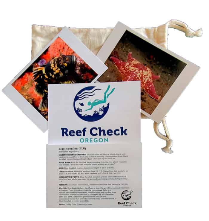 Reef Check Oregon Species ID Cards - Reef Check