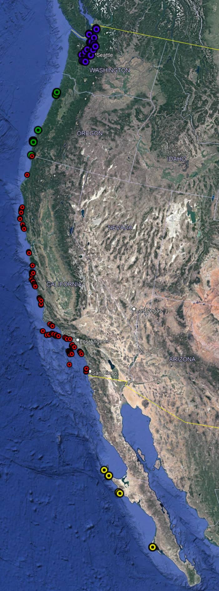 Kelp Forest Monitoring and MPAs - Reef Check