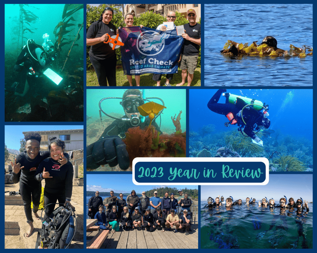 2023 Year in Review - Reef Check