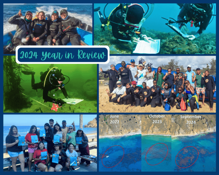 2024 Year in Review - Reef Check