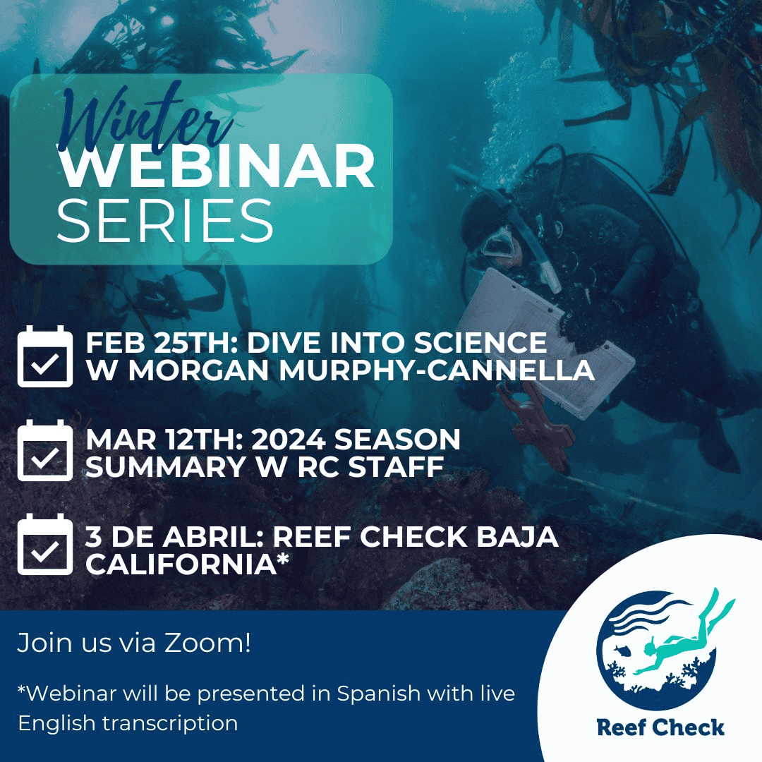 Reef Check’s Winter Webinar Series Continues - Reef Check